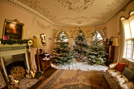 __COUNT__ imágenes de Christmas at Greys Court, Oxfordshire, UK - 05 ...