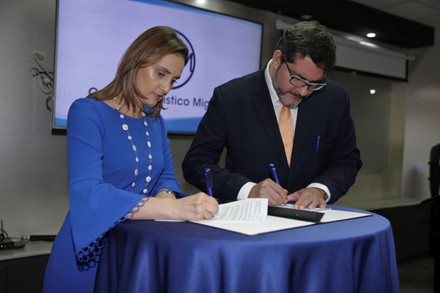 Mission Head International Organization Migration Iom Editorial Stock ...
