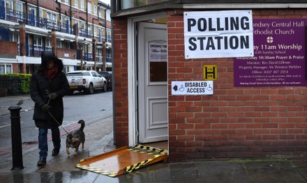 Local Dog Arrives Polling Station South Editorial Stock Photo - Stock ...