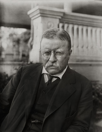 Former Us President Theodore Roosevelt Halflength Editorial Stock Photo ...