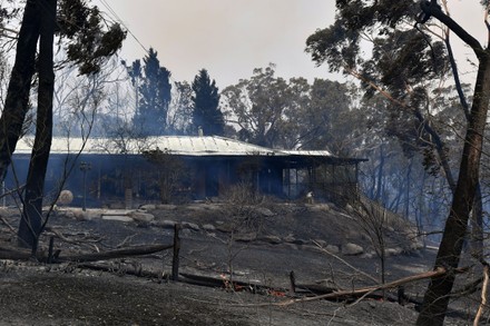 Destroyed Home Seen After Bushfire Past Editorial Stock Photo - Stock ...