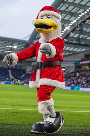 Gully Brighton Hove Albion Fc Mascot Editorial Stock Photo - Stock ...