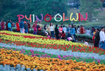 People Visit Flower Festival National Kandawgyi Editorial Stock Photo ...