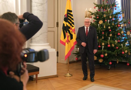 German President Frankwalter Steinmeier Poses Before Editorial Stock ...