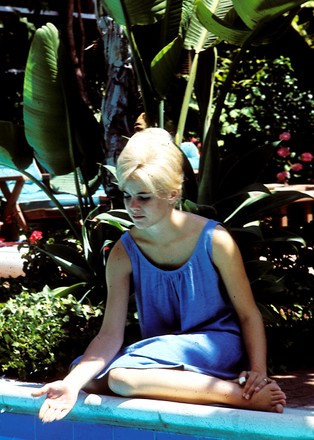 Sue Lyon Editorial Stock Photo - Stock Image | Shutterstock