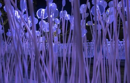 Portion Illuminated Interactive Art Exhibit Titled Editorial Stock ...