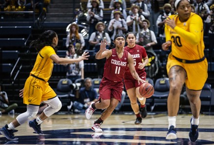 Berkeley Ca Usa Washington State Cougars Editorial Stock Photo - Stock ...