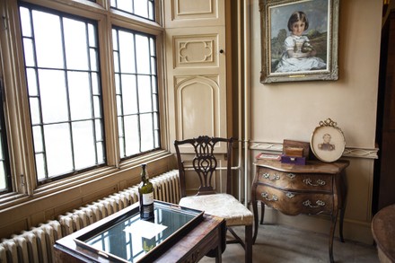 Interior Belonging British Aristocrat Brexiteer Francis Editorial Stock ...