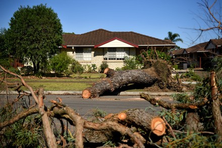 Storm damage in Sydney, Australia - 21 Jan 2020 Stock Pictures ...