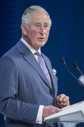 Britains Charles Prince Charles Addresses Plenary Editorial Stock Photo ...