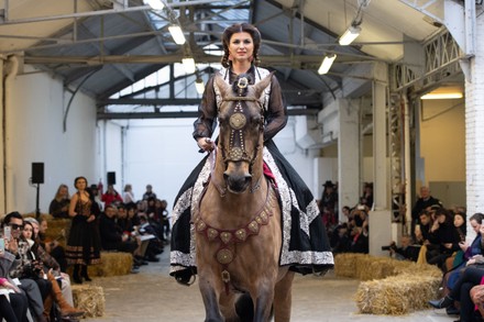 Horse By Marco Luraschi Italian Equestrian Editorial Stock Photo ...
