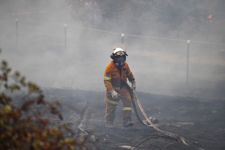 Firefighter Works Put Out Bushfire Behind Editorial Stock Photo - Stock ...