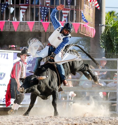 Tevin Cameron Competes Bull Riding Event Editorial Stock Photo - Stock ...