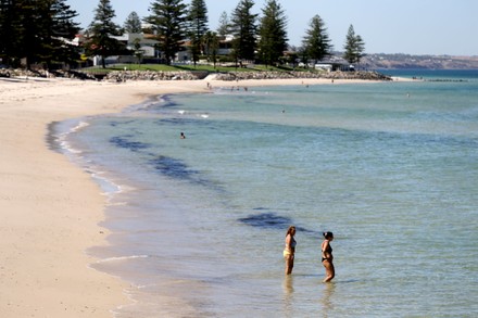 Beachgoers Wade Into Water Glenelg Beach Editorial Stock Photo - Stock ...
