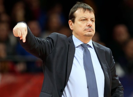 Red Star vs Anadolu Efes, Belgrade, Serbia - 31 Jan 2020 Stock Pictures ...