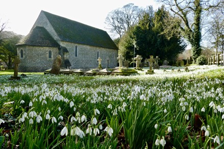 __COUNT__ Snowdrop Festival at St Botolph's Church, Swyncombe, UK - 01 ...