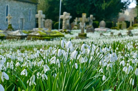 __COUNT__ Snowdrop Festival at St Botolph's Church, Swyncombe, UK - 01 ...