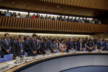 __COUNT__ 146th session of the World Health Organization Executive ...