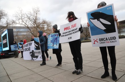 Activists People Ethical Treatment Animals Peta Editorial Stock Photo ...