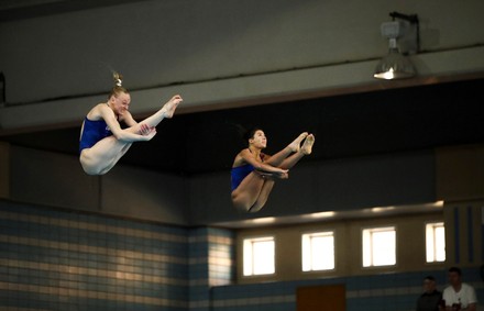 Us Divers Kassidy Cook Y Sarah Editorial Stock Photo - Stock Image ...