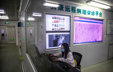 Employee Works Daan Gene Laboratory Guangzhou Editorial Stock Photo ...