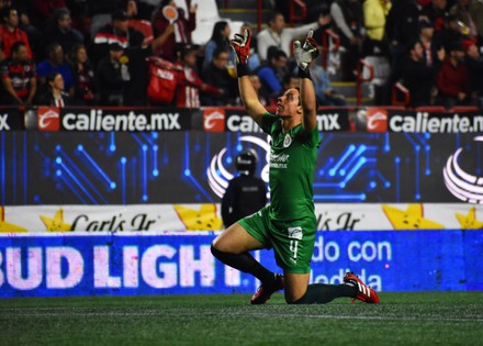 Guadalajaras Goal Keeper Jose Rodriguez Celebrates Editorial Stock ...