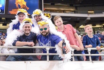 St Louis Fans Done Battlehawk Mask Editorial Stock Photo - Stock Image ...