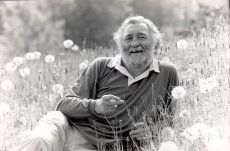 Botanist Dr David Bellamy Editorial Stock Photo - Stock Image ...