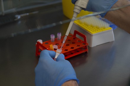 Researcher Work Laboratory Clinical Microbiology Virology Editorial ...