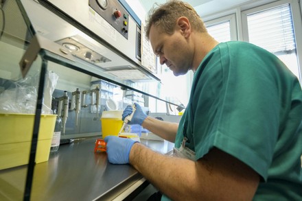 Researcher Work Laboratory Clinical Microbiology Virology Editorial ...