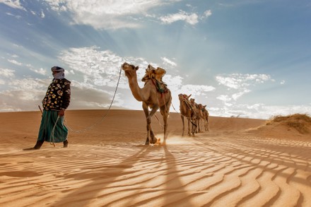 500 Desert nomads Stock Pictures, Editorial Images and Stock Photos ...