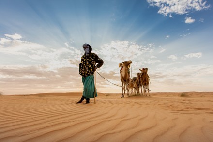 500 Desert nomads Stock Pictures, Editorial Images and Stock Photos ...