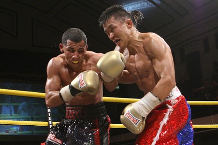Choi Tseveenpurev Defeats Rhys Roberts Win Editorial Stock Photo ...