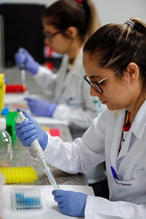 Brazilian Scientists Immunology Laboratory Heart Institute Editorial ...
