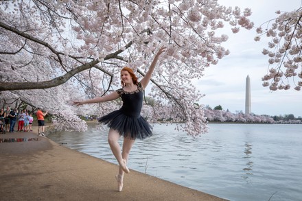 Tutuwearing Ballet Dancer Abby Thompson Burke Editorial Stock Photo ...