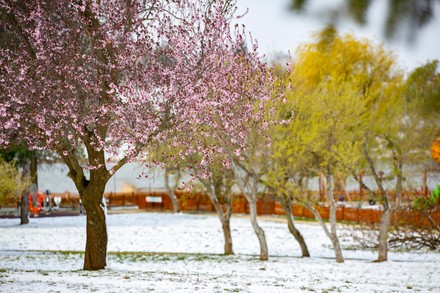 Snowy spring day, Nagykanizsa, Hungary - 24 Mar 2020 Stock Pictures ...
