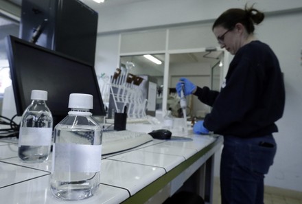 Employee Examines Alcohol Samples Quality Control Editorial Stock Photo ...