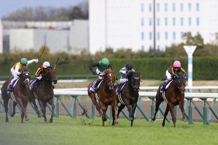 Horse Racing at the Chukyo Racecourse, Aichi, Japan - 29 Mar 2020 Stock ...