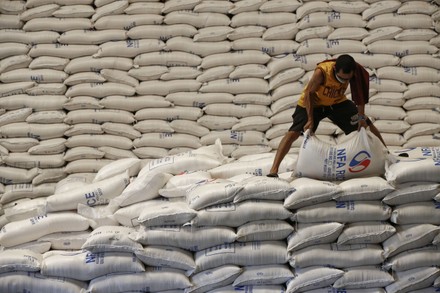 Worker Lifts Sack Governmentsubsidized Rice Nfa Editorial Stock Photo ...
