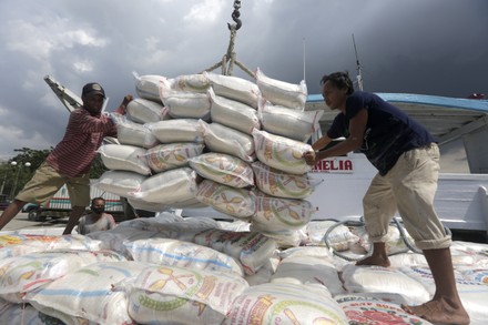 Workers Loading Sacks Rice Onto Traditional Editorial Stock Photo ...