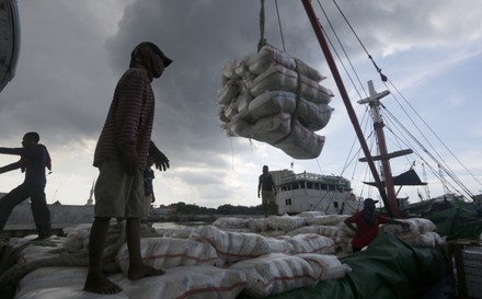 Workers Loading Sacks Rice Onto Traditional Editorial Stock Photo ...