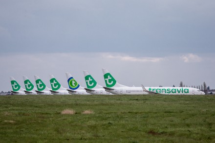 Large Number Transavia Aircraft Parked On Editorial Stock Photo - Stock ...