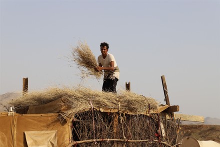 Displaced Man Builds Straw House Displaced Editorial Stock Photo ...