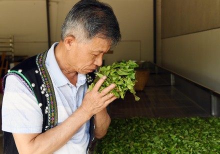 Li Xingchang Inheritor Making Technique Famous Editorial Stock Photo ...