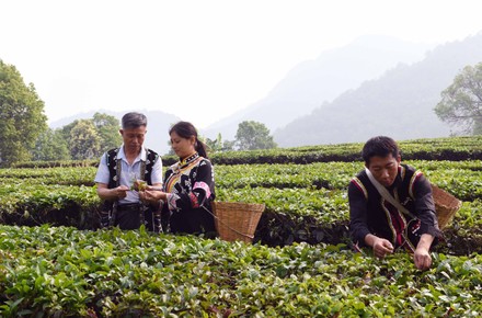 Li Xingchang L Inheritor Making Technique Editorial Stock Photo - Stock ...