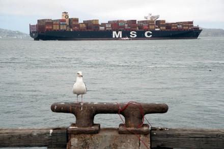 Msc Anna One Worlds Largest Container Editorial Stock Photo - Stock ...