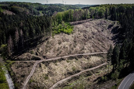 __COUNT__ Early summer temperatures increase risk of forest fires ...