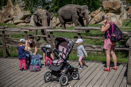 Visitors Stand Front Enclosure Zoo Prague Editorial Stock Photo - Stock ...