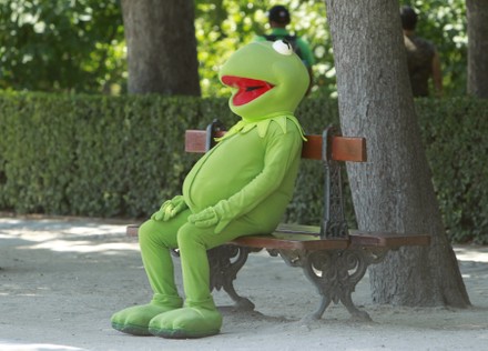 1450 Person Dresses Muppets Character Kermit Editorial Stock Photo ...