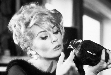 Anita Ekberg Rik Van Nutter 1965 Editorial Stock Photo - Stock Image ...